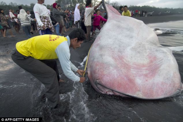 July 2014 - Michael Tyler