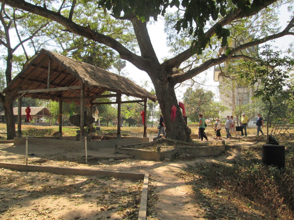 4 February 2015 - Michael Tyler