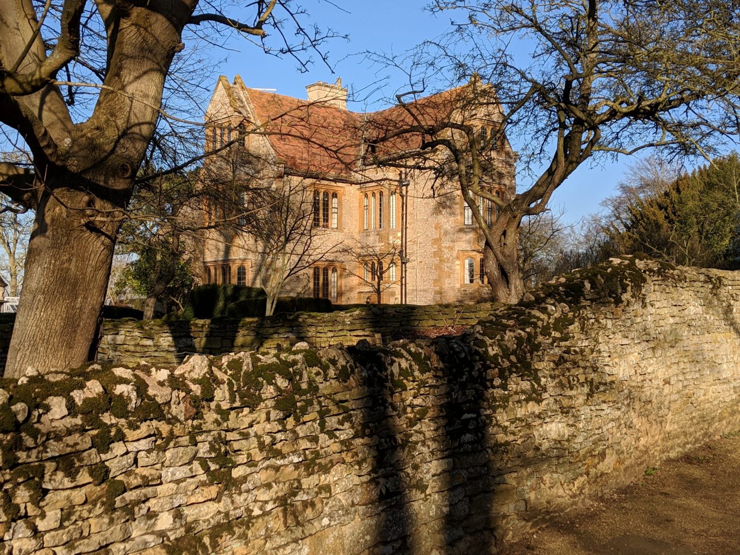 Tiffield Pocket Park - nature