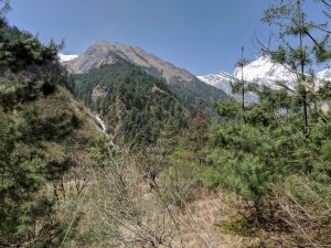 Day 37: Kalopani -> Tadopani - travel annapurna circuit trek