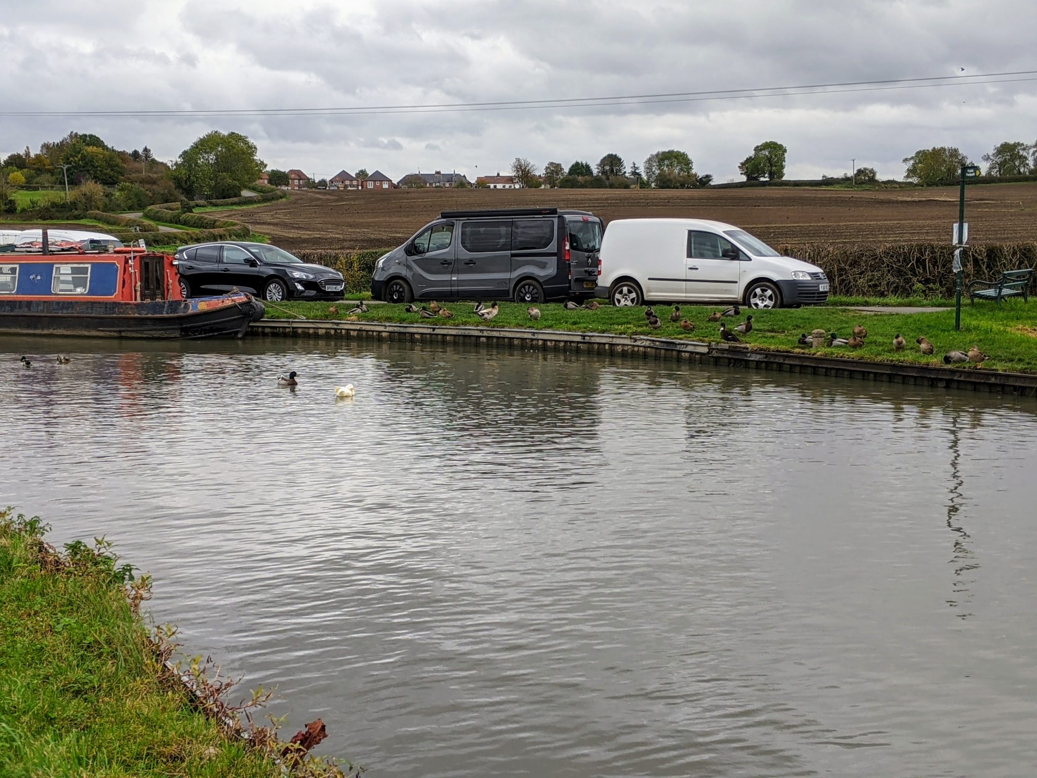 Duck corner - Stoke Golding - Ashby Canal - Narrowboat