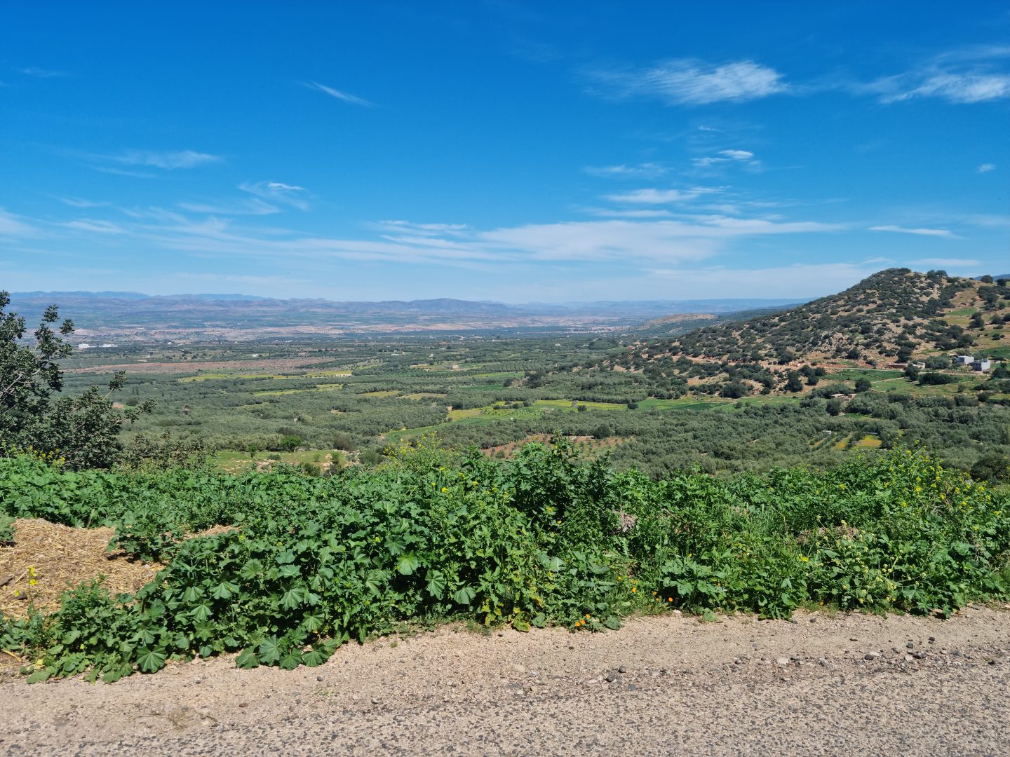 Beni Mellal to Khenifra - travel Morocco