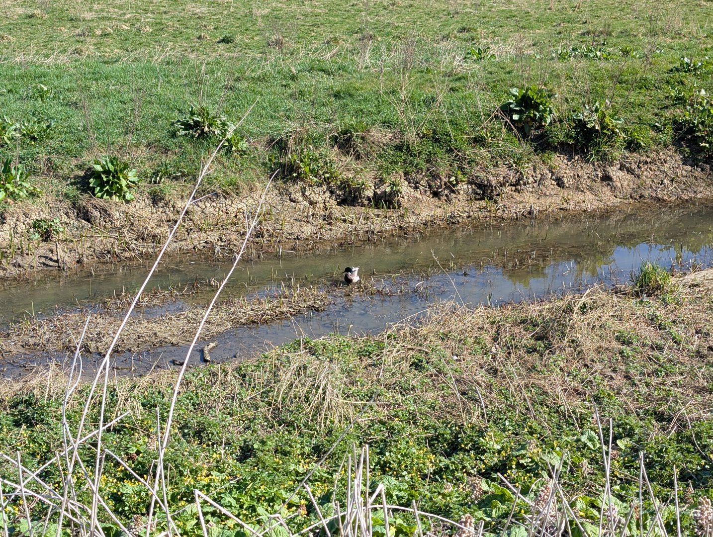 Pig Place - The shop is ***CLOSED*** - Narrowboat living off grid